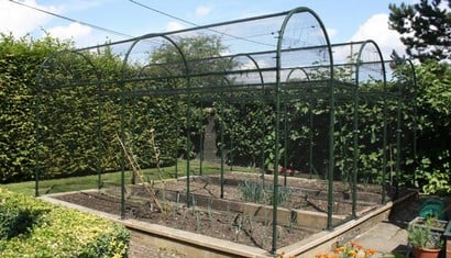 Fruit Cage Steel Roman Arch 1-Customer Projects