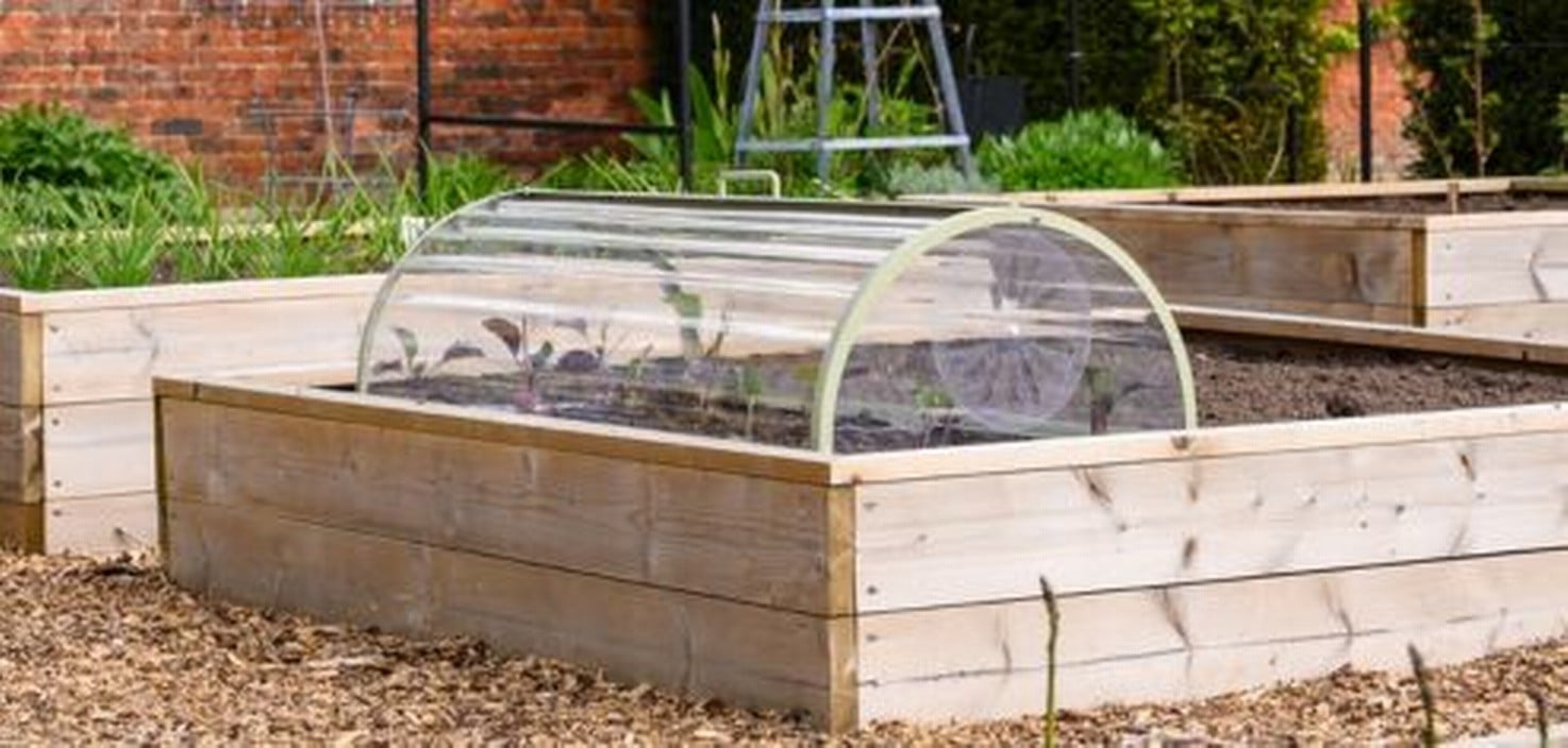 GIVEAWAY! Win a Harrod Longrow Cloche! - Harrod Horticultural