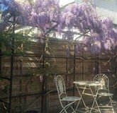 Growing Support Structure Wisteria-Customer Projects