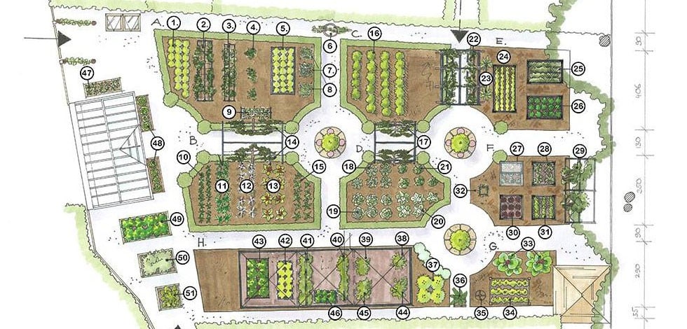 Kitchen Garden Planning - Harrod Horticultural