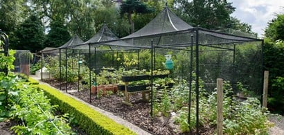 Fruit Cage Advice - Harrod Horticultural