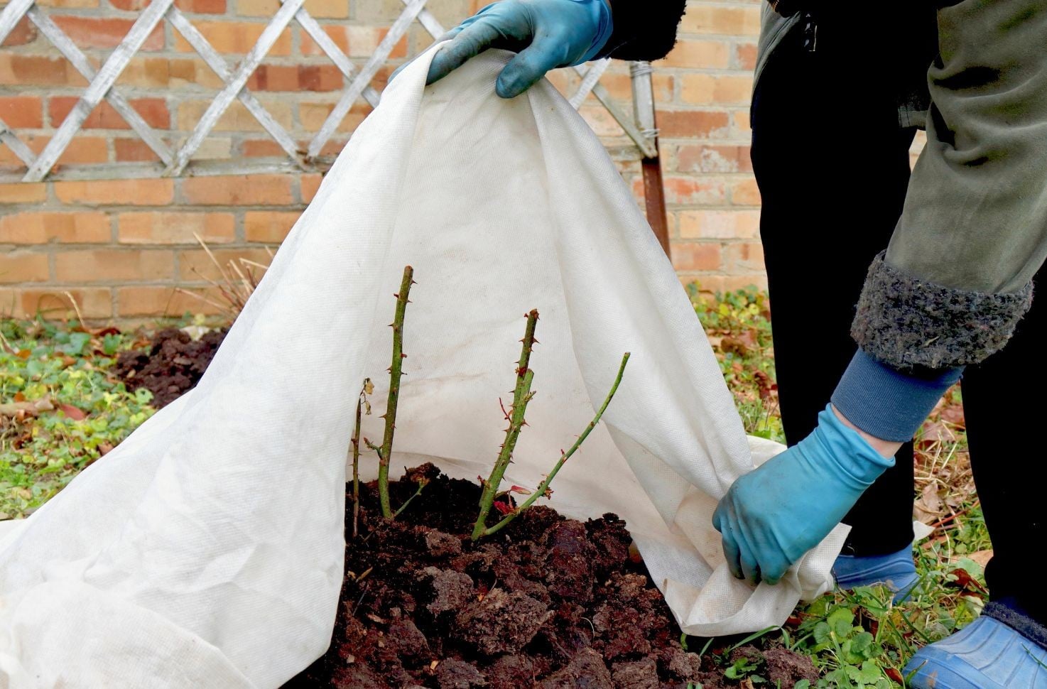 The Ultimate Guide to Garden Fleece: How and Why to Use It - Harrod ...