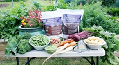 Volcanic Rock Dust Soil Remineraliser - Harrod Horticultural