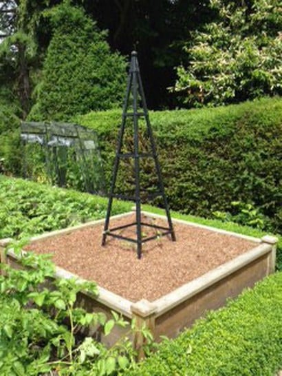 Weekly Kitchen Garden Blog - Sweet Potato Display