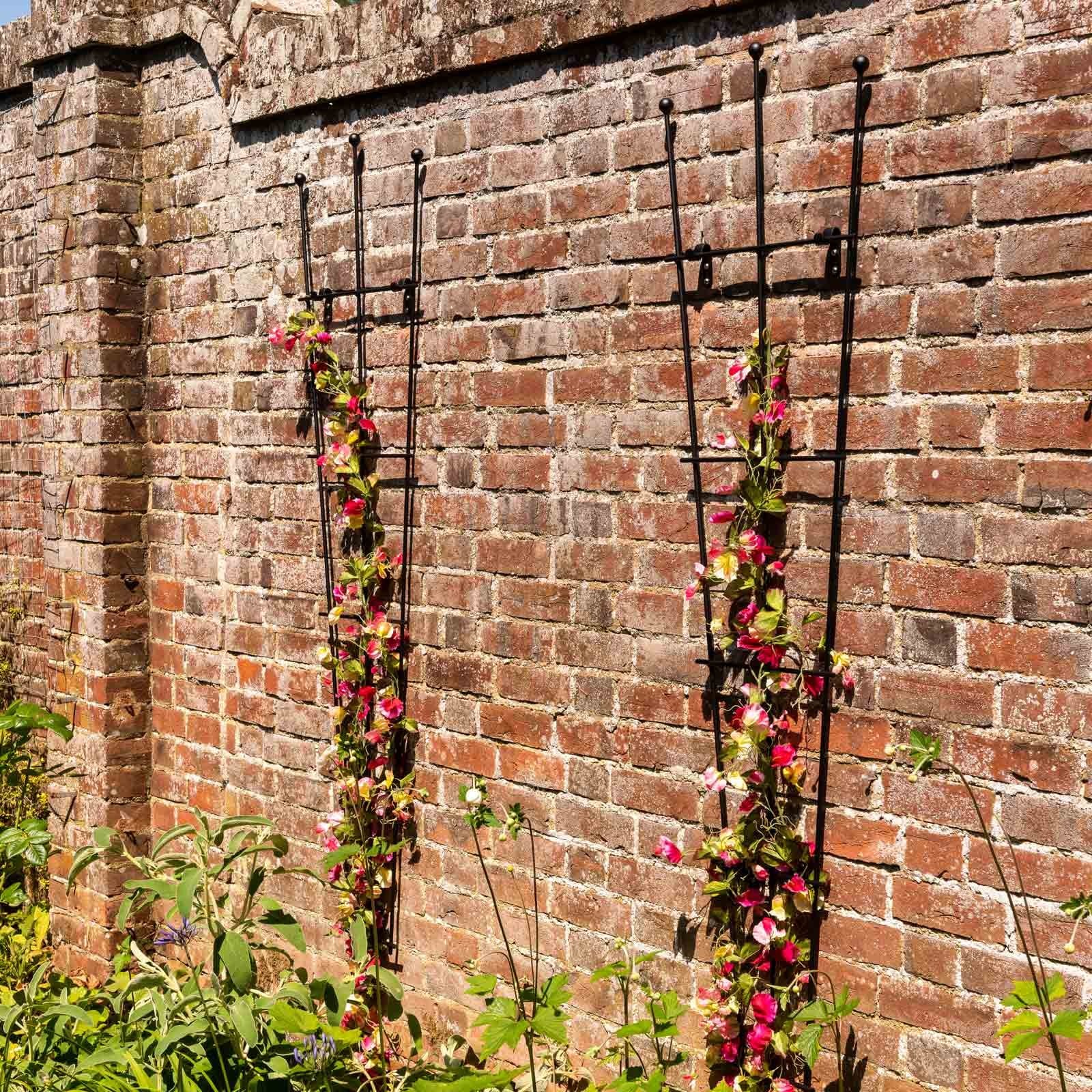 3 Finial Fan Trellis - Harrod Horticultural