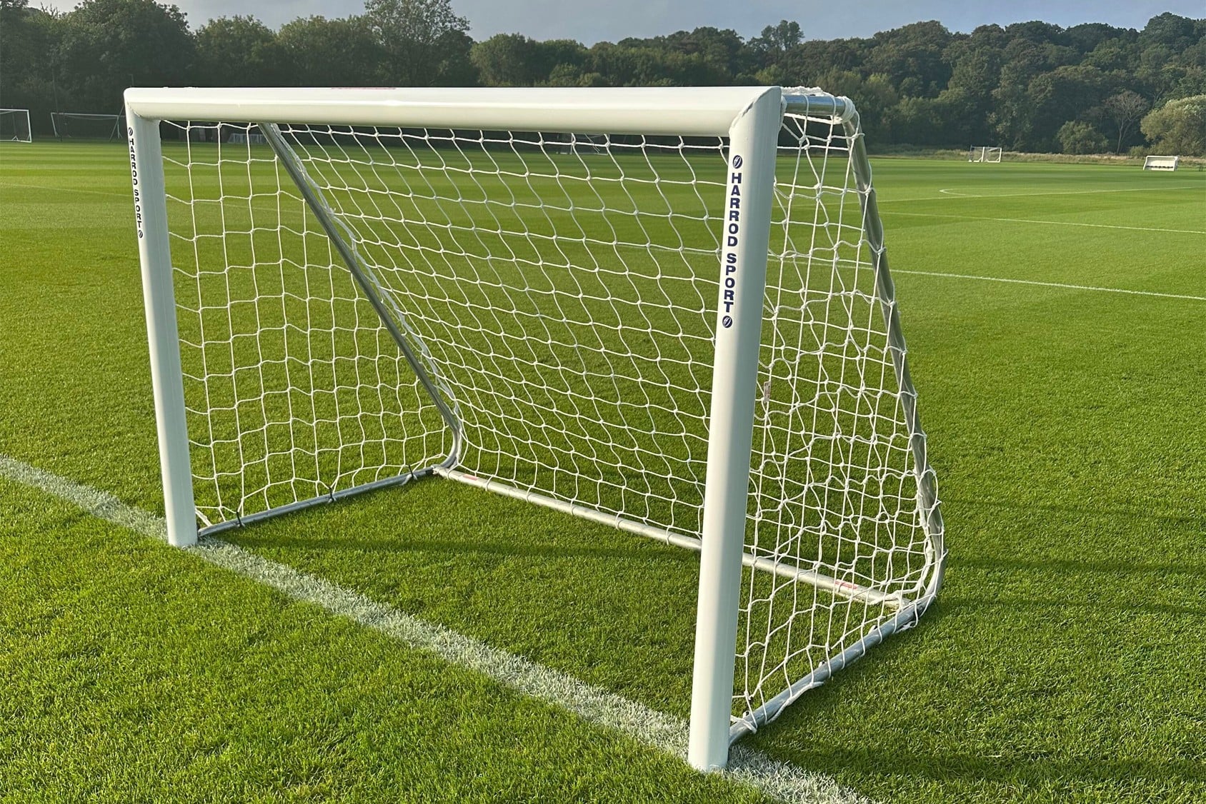 Fixed Training Football Goal & Net - Harrod Horticultural