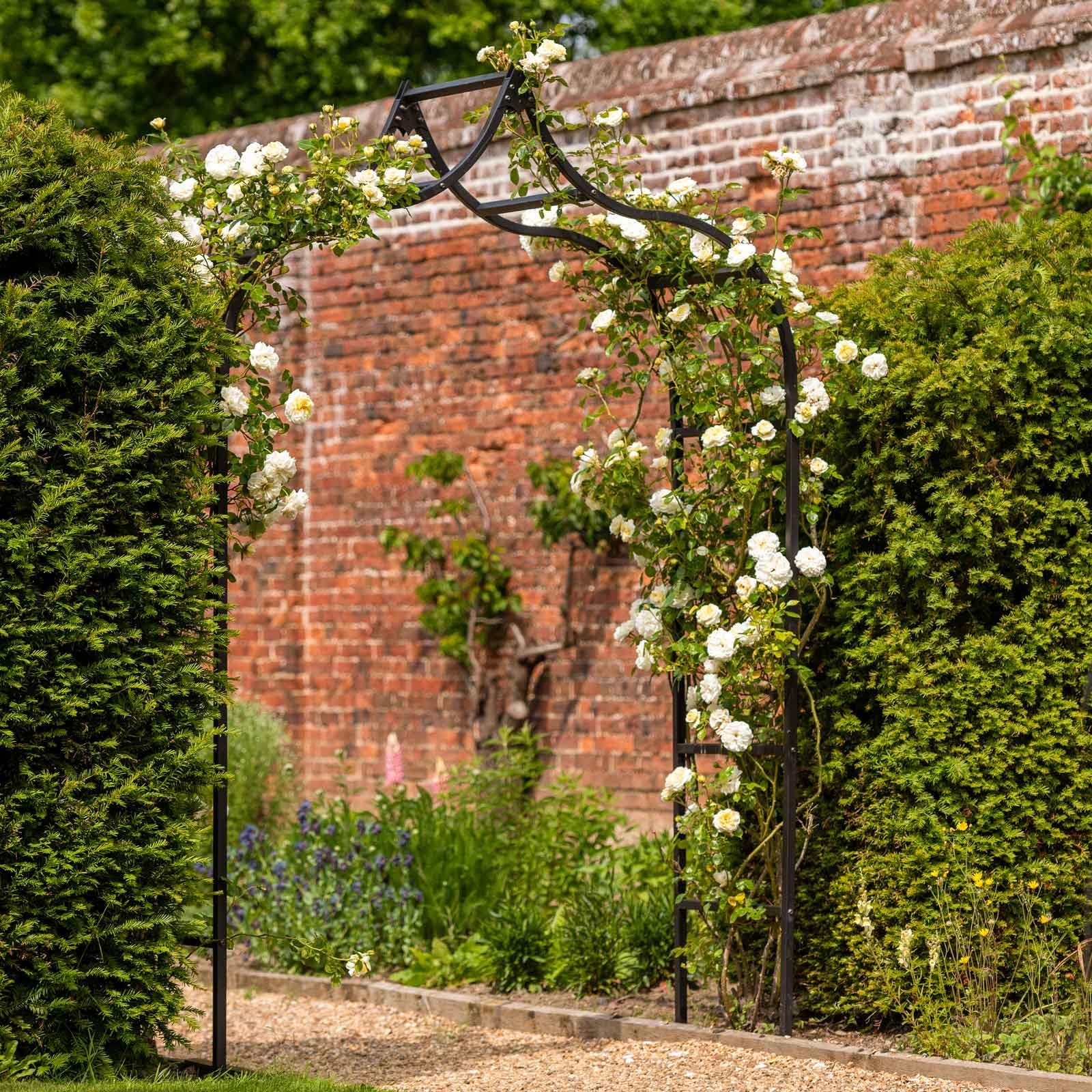 Ogee Garden Arch - Harrod Horticultural (UK)