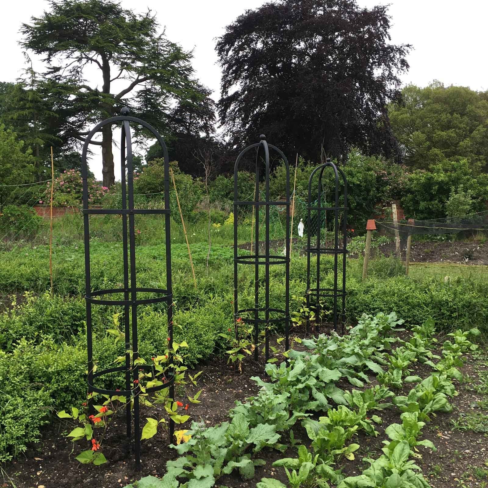 Steel Round Column Obelisk - Harrod Horticultural (UK)
