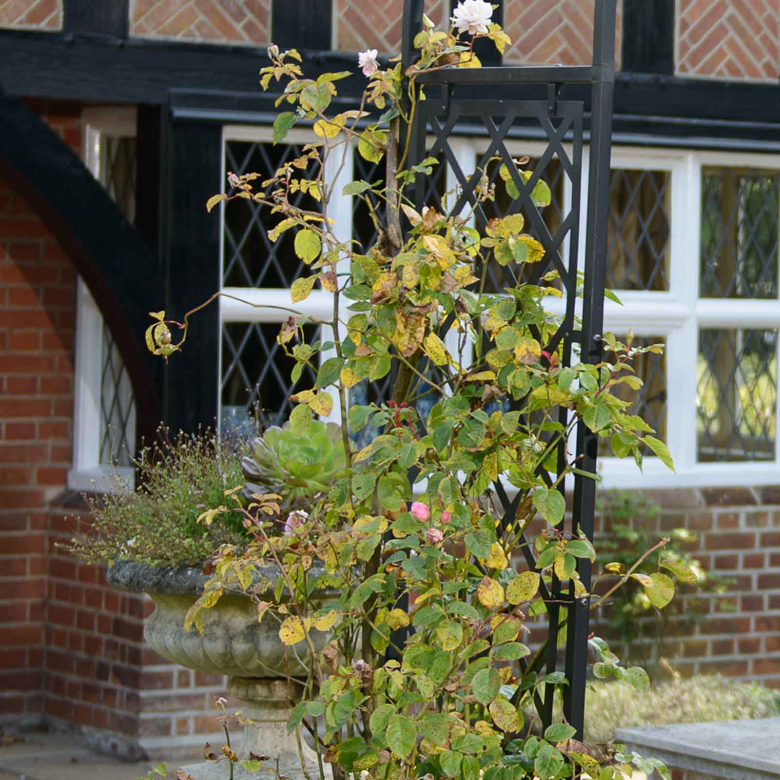 Ogee Half Lattice Arch - Garden Arches at Harrod Horticultural