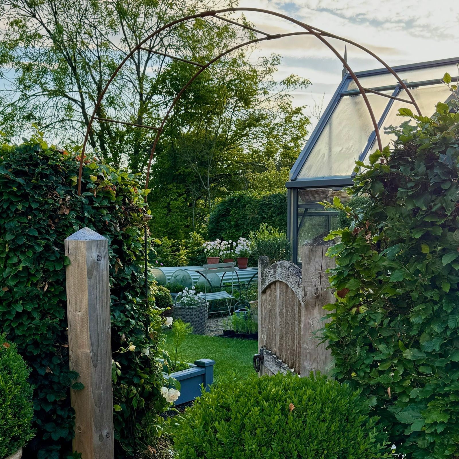 Harrod Vintage Wire Arches Natural Rust - Harrod Horticultural