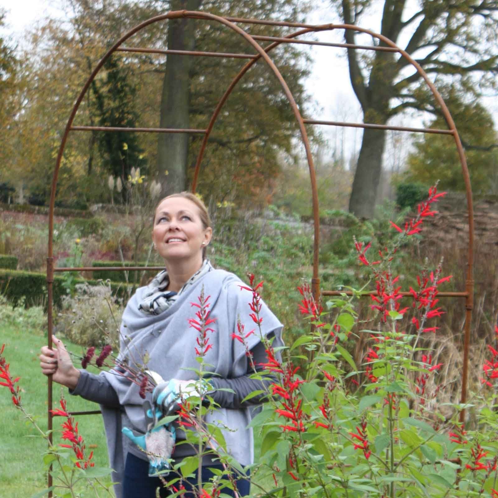 Harrod Vintage Wire Arches Natural Rust - Harrod Horticultural