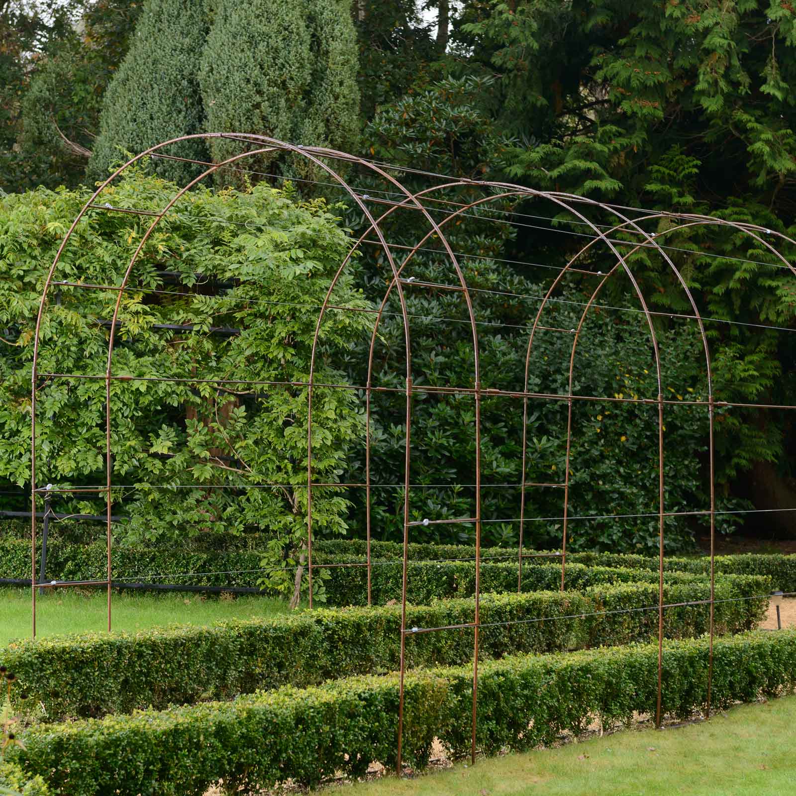 Harrod Linked Vintage Wire Arches Rust - Harrod Horticultural