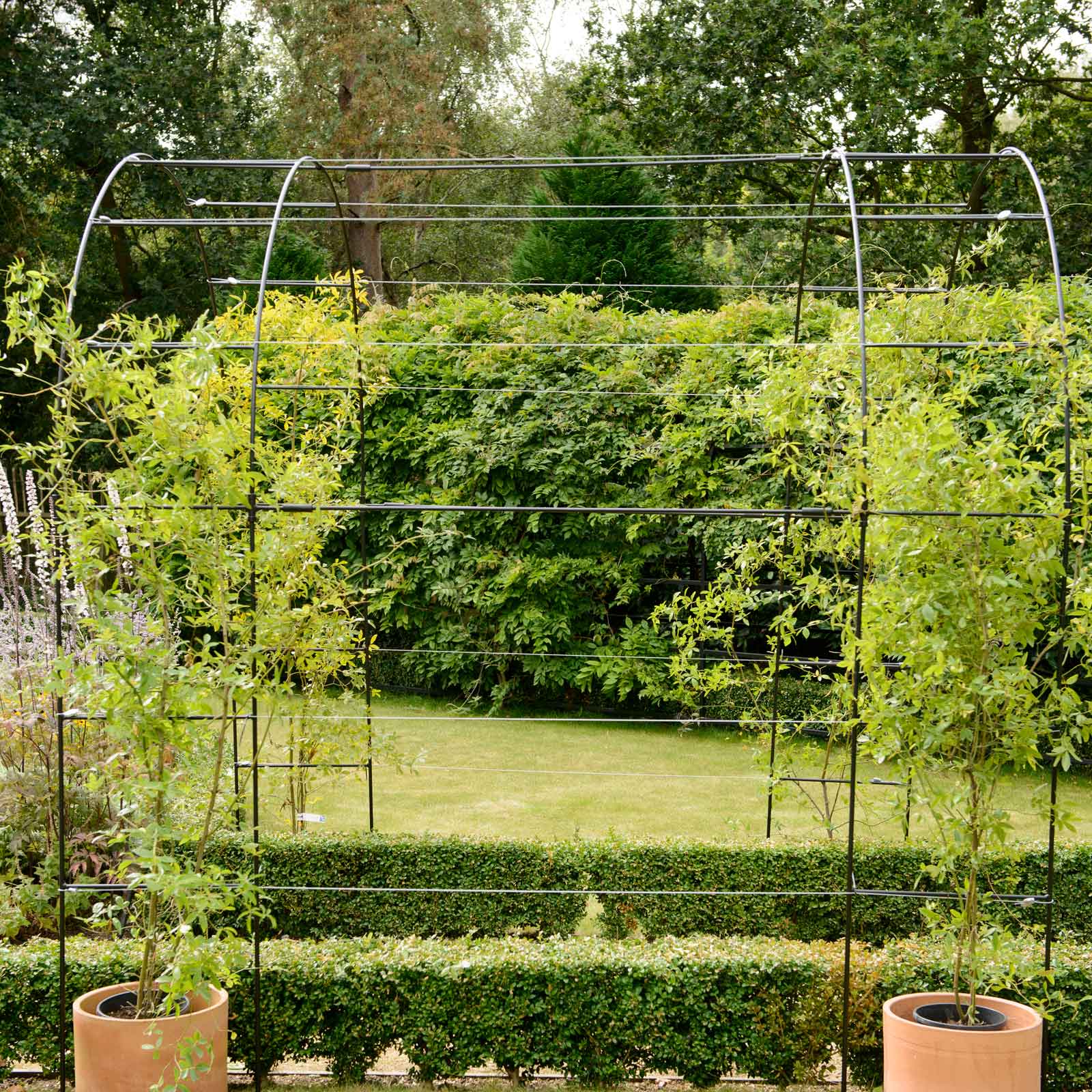 Harrod Linked Wire Arches Matt Black - Harrod Horticultural