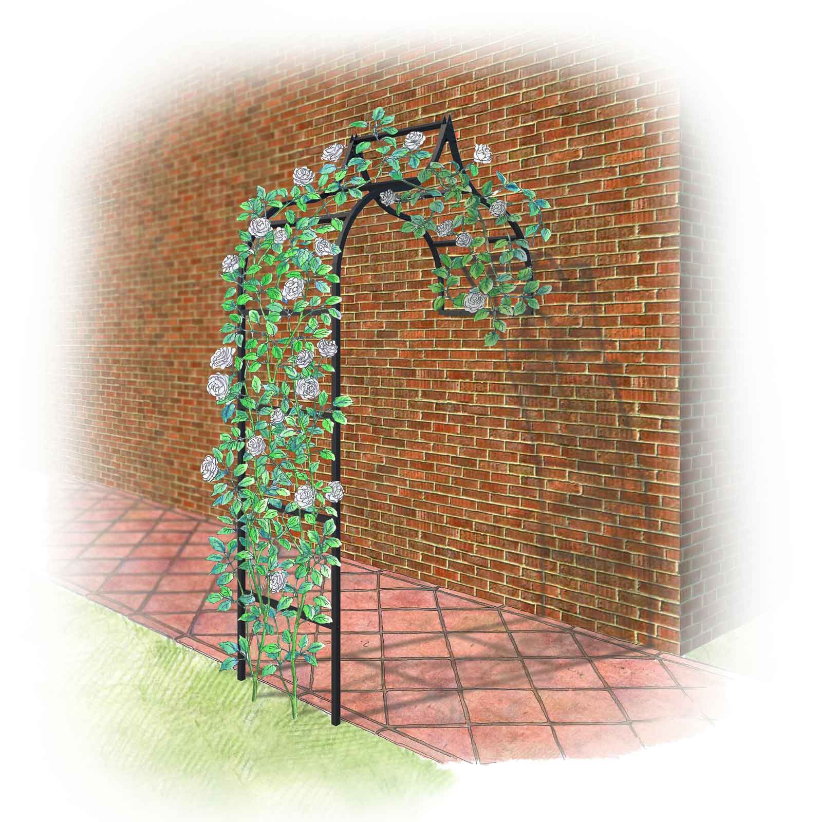 Harrod Ogee Wall Arch - Harrod Horticultural