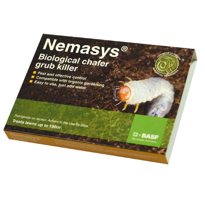 Chafer Grubs Treatment And Control Lovethegarden