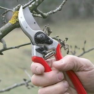 Felco Professional Model 2 Secateur - Harrod Horticultural