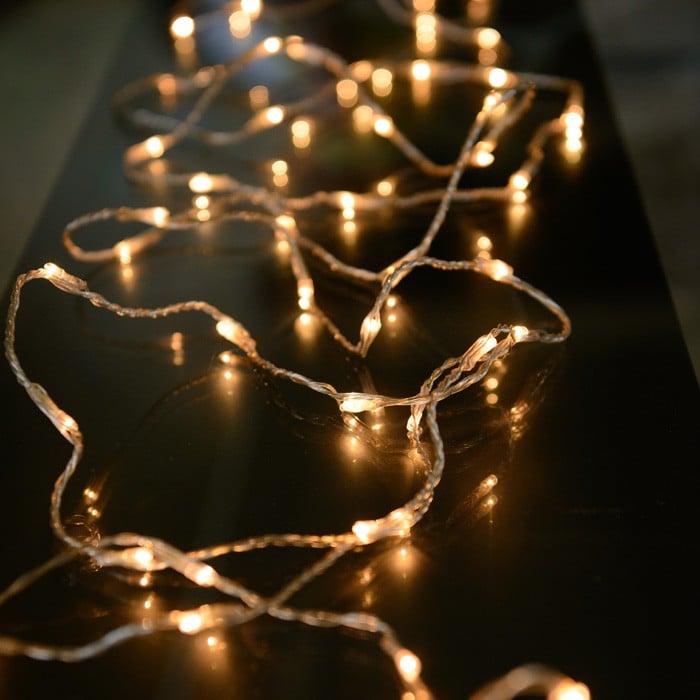50 LED String Lights - Harrod Horticultural