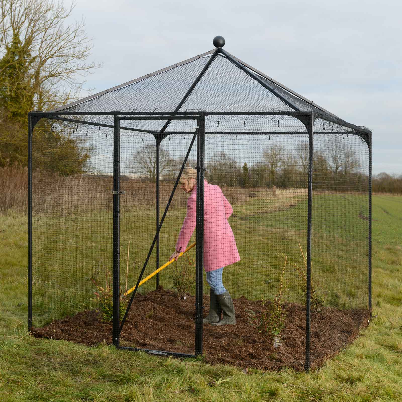 Harrod Decorative Pyramid Roof Cage - Harrod Horticultural