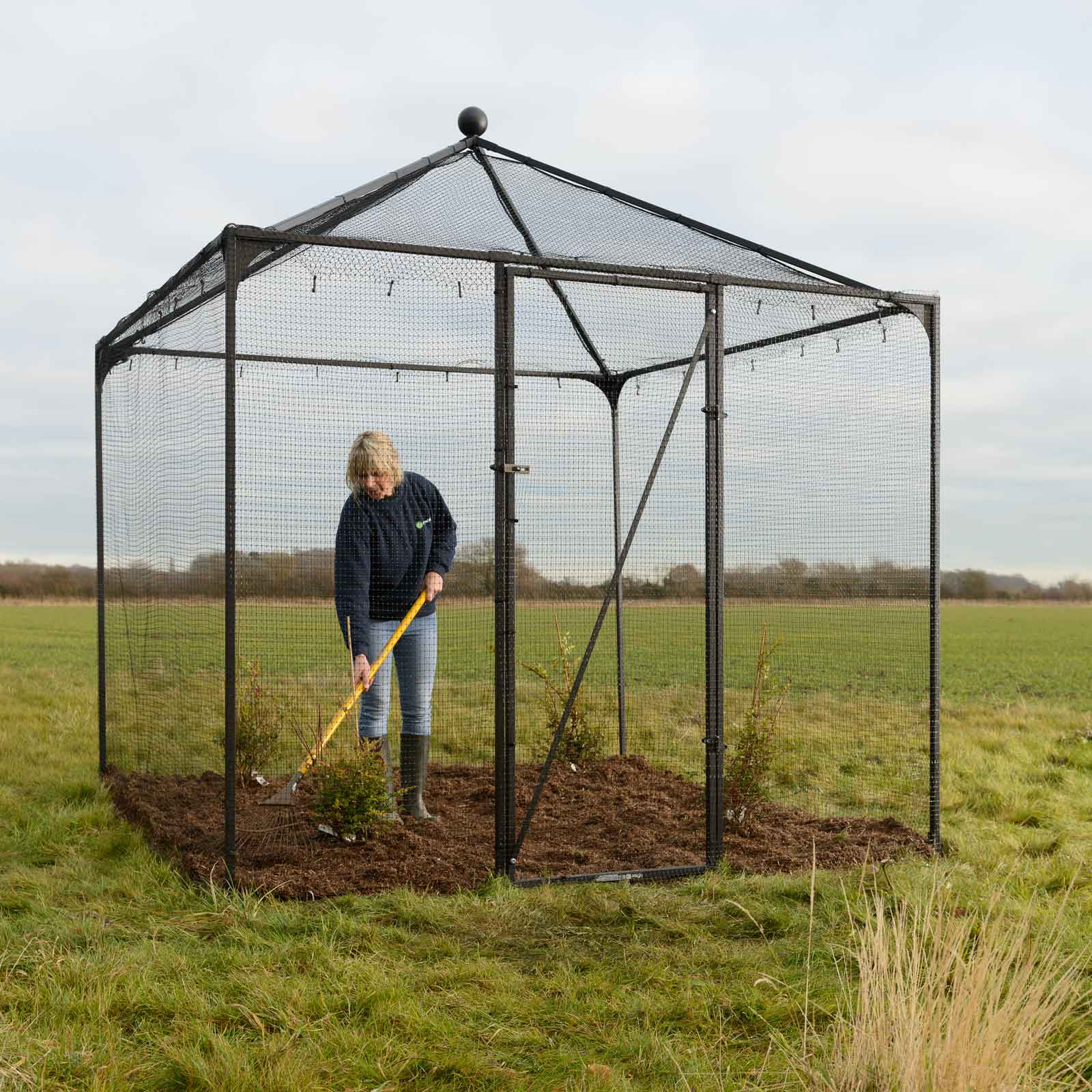 Harrod Decorative Pyramid Roof Cage - Harrod Horticultural