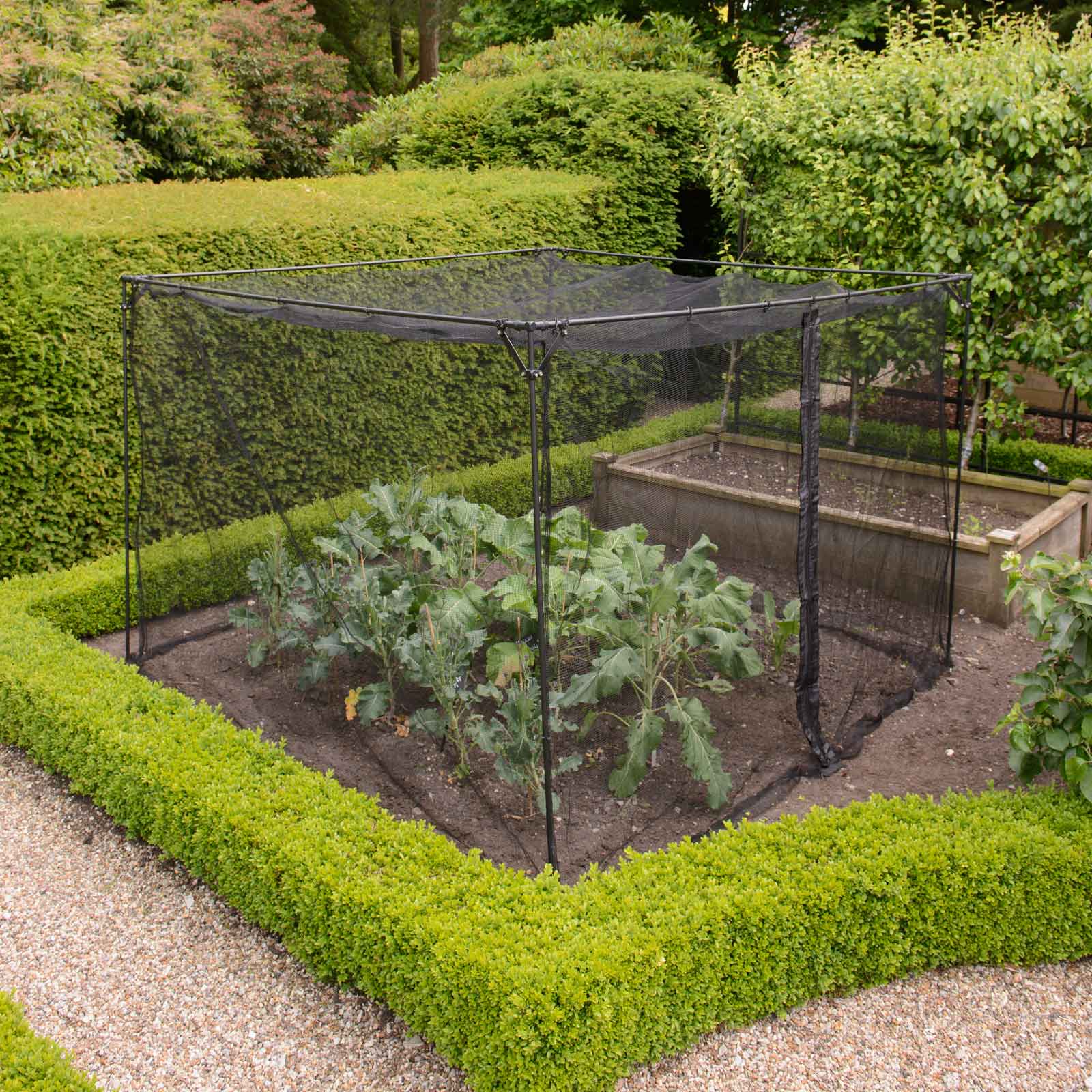 Harrod Slot & Lock Storm Proof 1.8m Walk In Vegetable Cage (Black ...