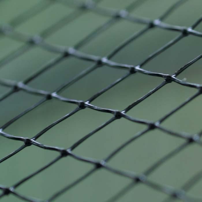 Poultry Super Heavy-Duty Side Netting - Harrod Horticultural (UK)