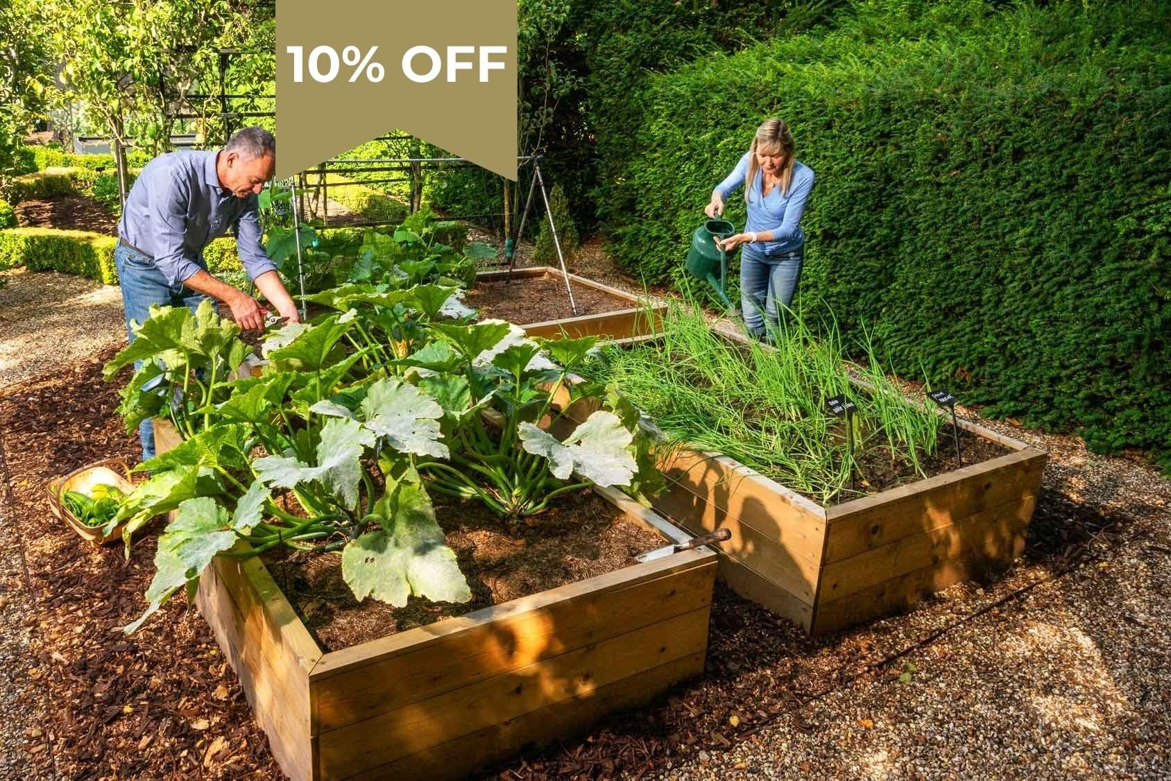Allotment Wooden Raised Beds - Harrod Horticultural