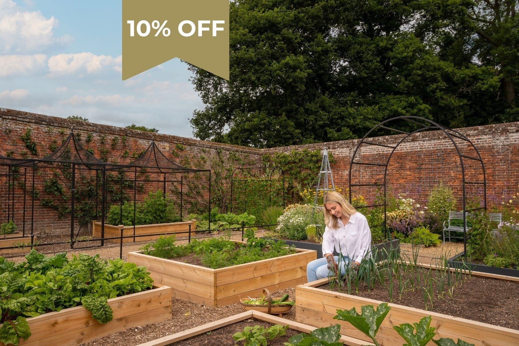Standard Wooden Raised Beds - Harrod Horticultural