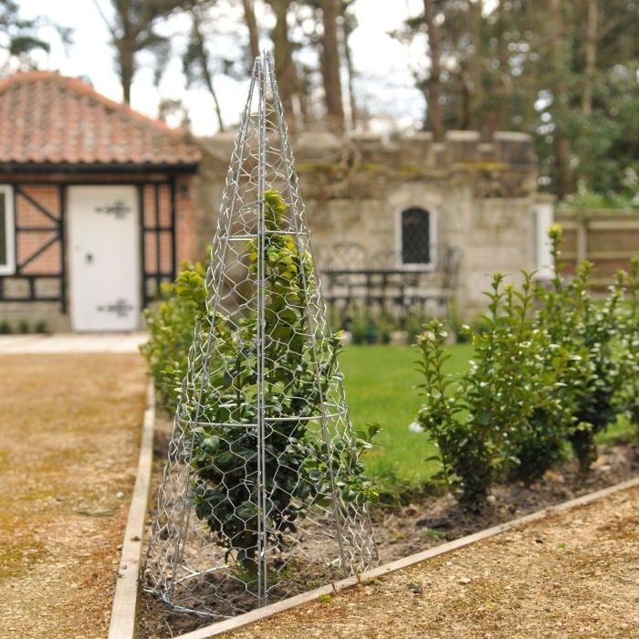 Topiary Cage Frame - Harrod Horticultural