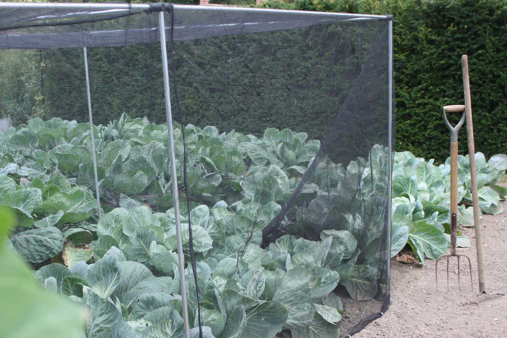 Slot & Lock® Aluminium Vegetable Cage (1.5m H) - Harrod Horticultural (UK)