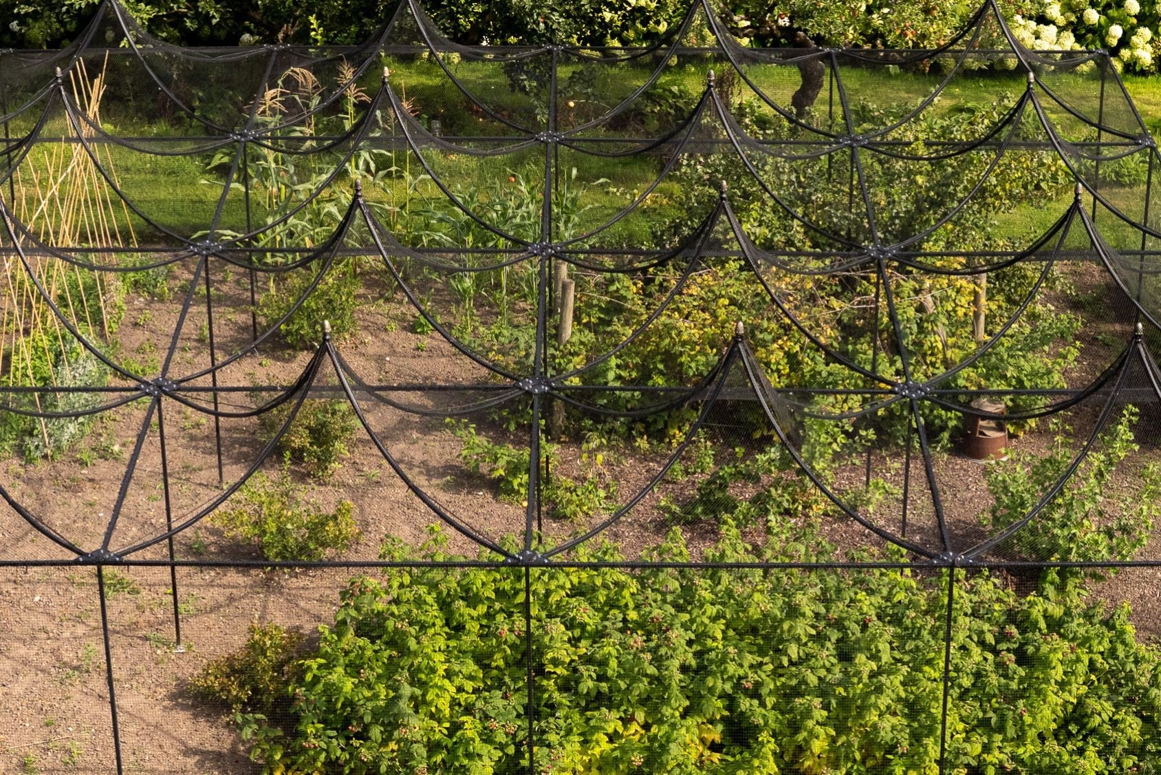 Peak Roof Heavy Duty Steel Decorative Fruit Cage - Harrod Horticultural