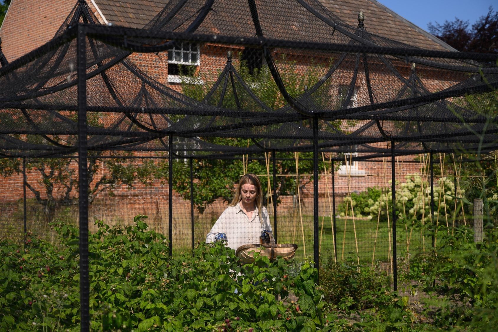 Peak Roof Heavy Duty Steel Decorative Fruit Cage - Harrod Horticultural