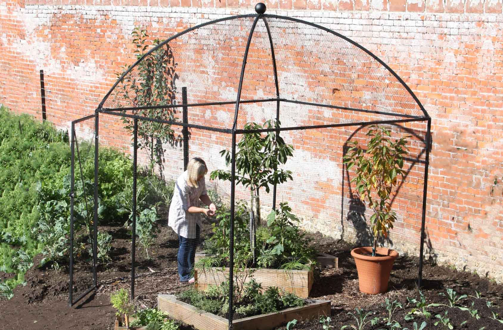 Dome Roof Heavy Duty Steel Decorative Fruit Cage - Harrod Horticultural