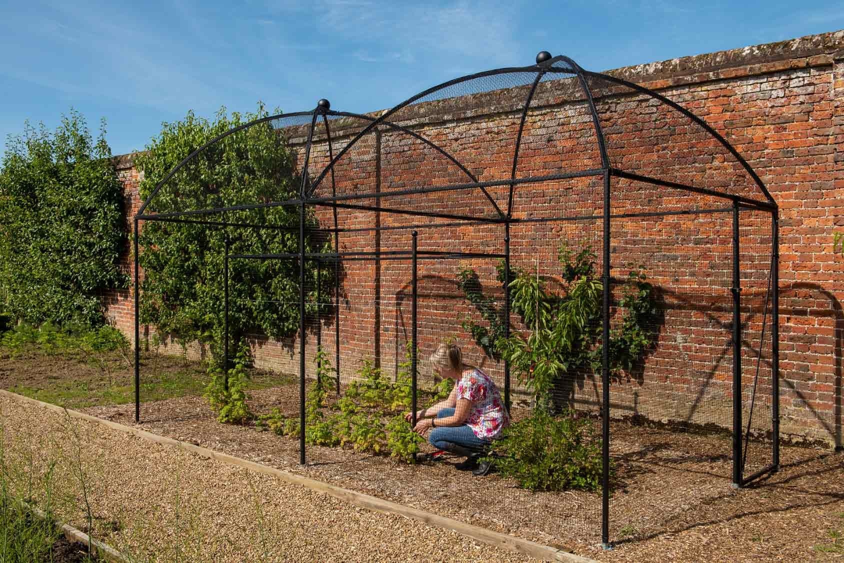 Dome Roof Heavy Duty Steel Decorative Fruit Cage - Harrod Horticultural