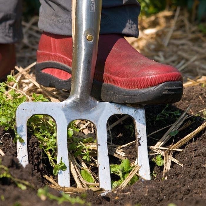 Sneeboer Border Fork 4t with D-handle - Harrod Horticultural