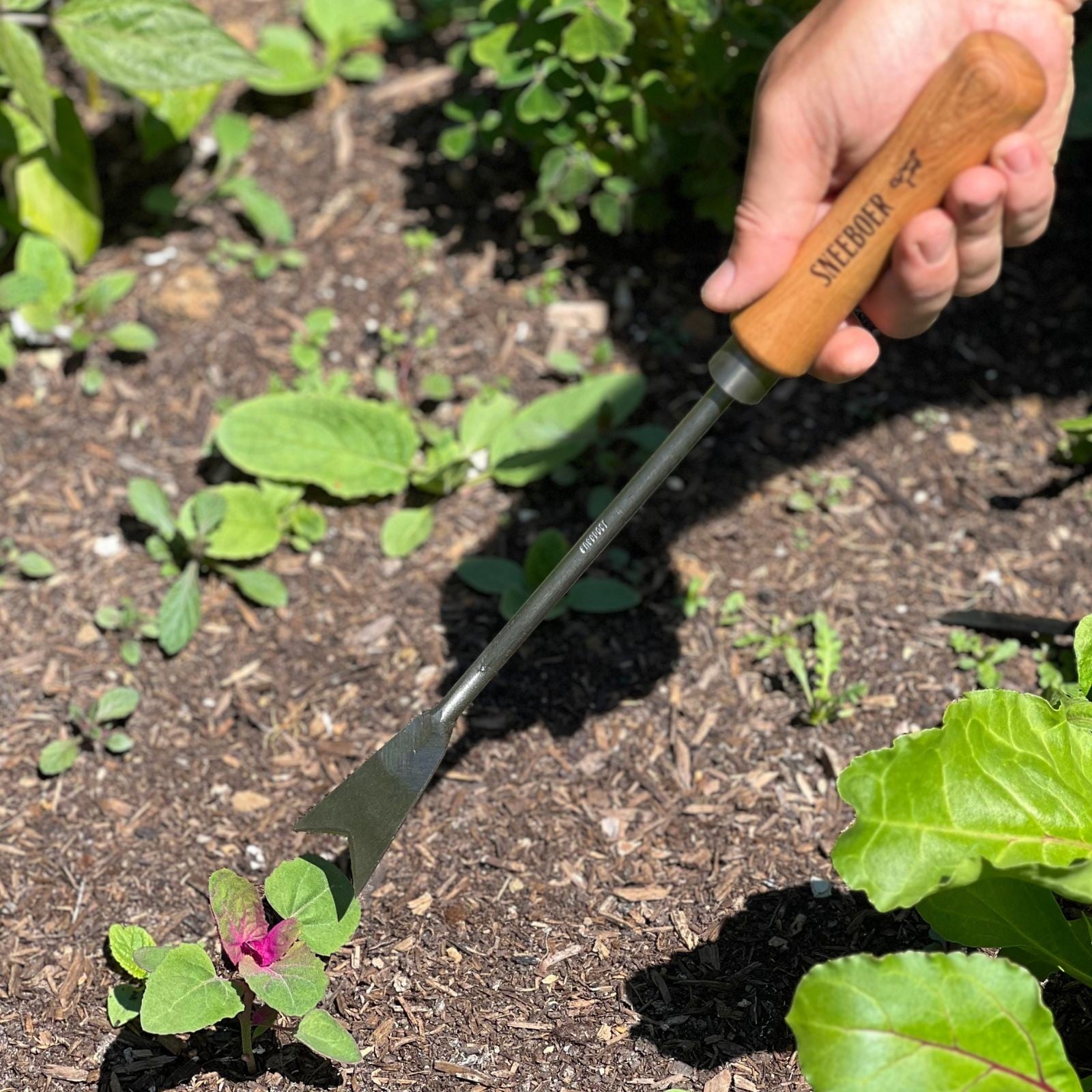 Sneeboer Weed Gouger - Harrod Horticultural (UK)