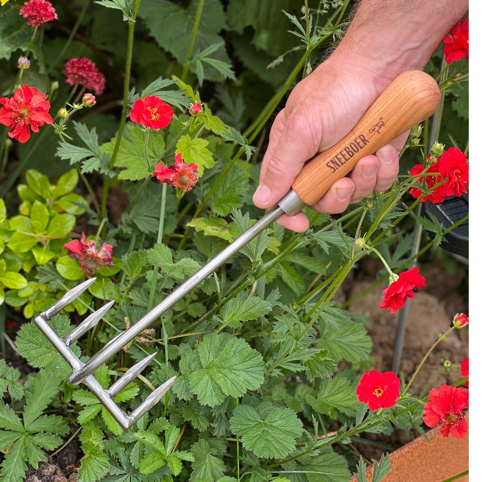 Sneeboer Hand Rake - Harrod Horticultural