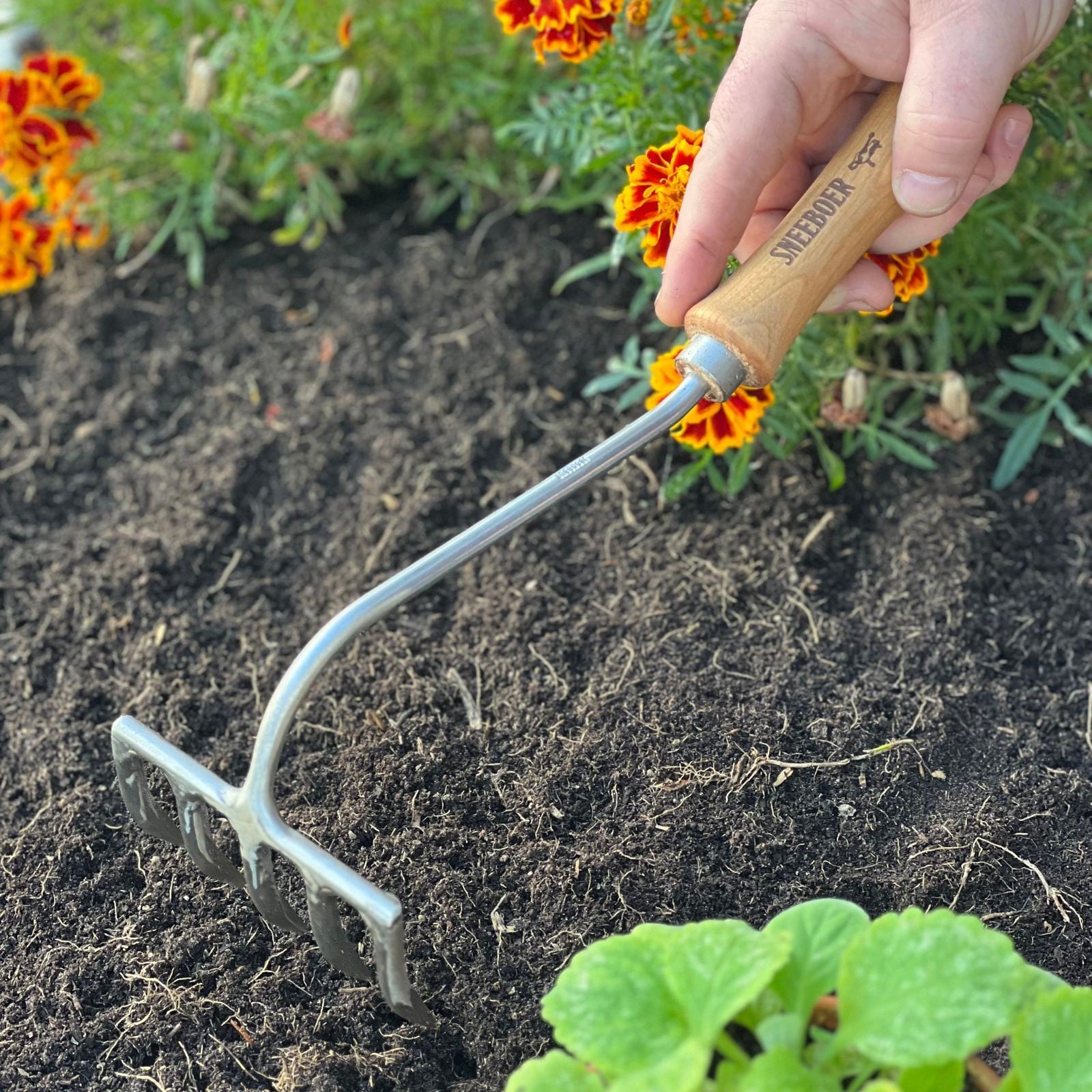 Sneeboer Hand Rake - Harrod Horticultural