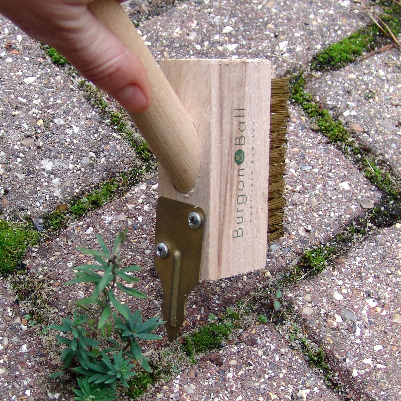 Long Handled Miracle Paving Brushes - Harrod Horticultural (UK)