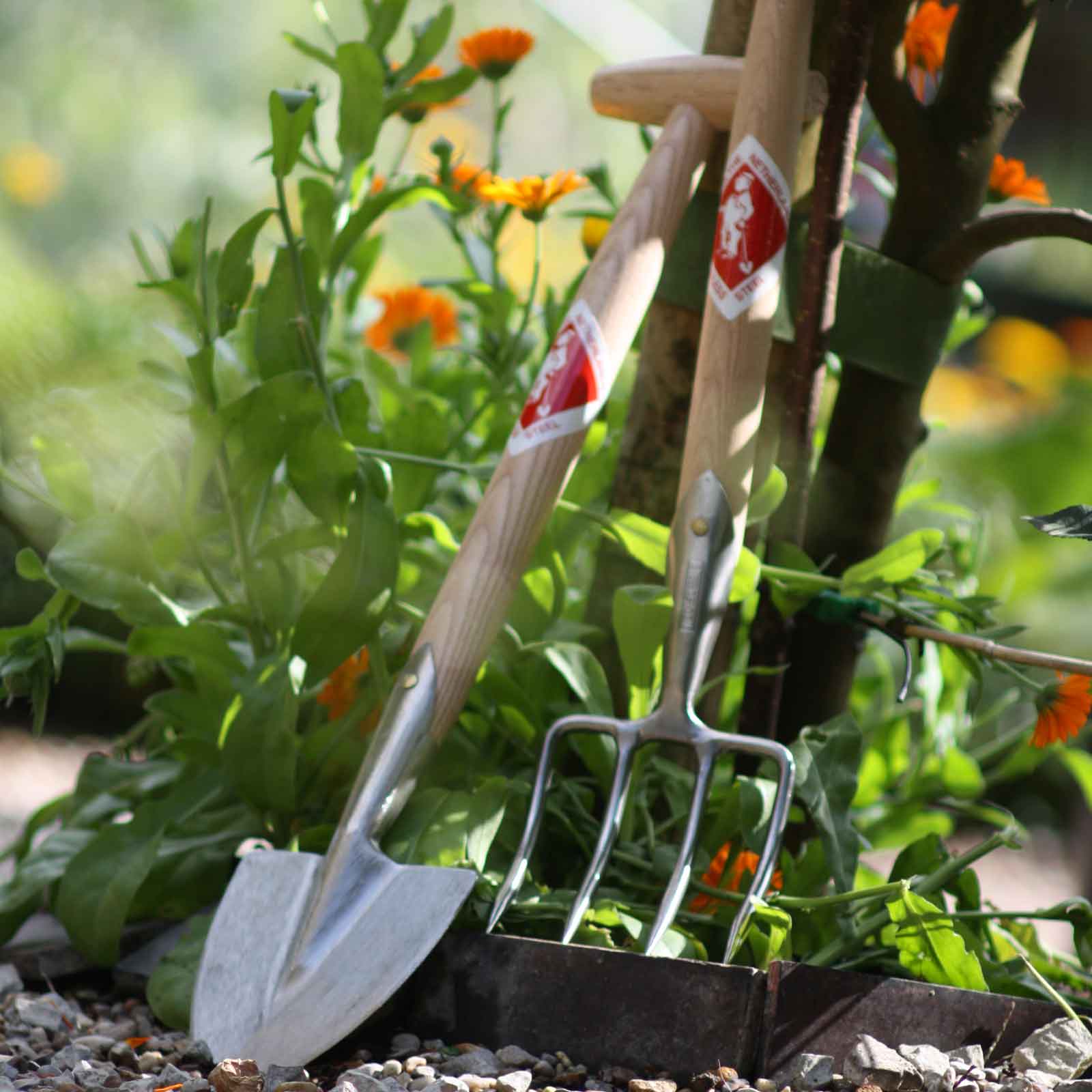 Sneeboer Perennial Spade - Harrod Horticultural (UK)