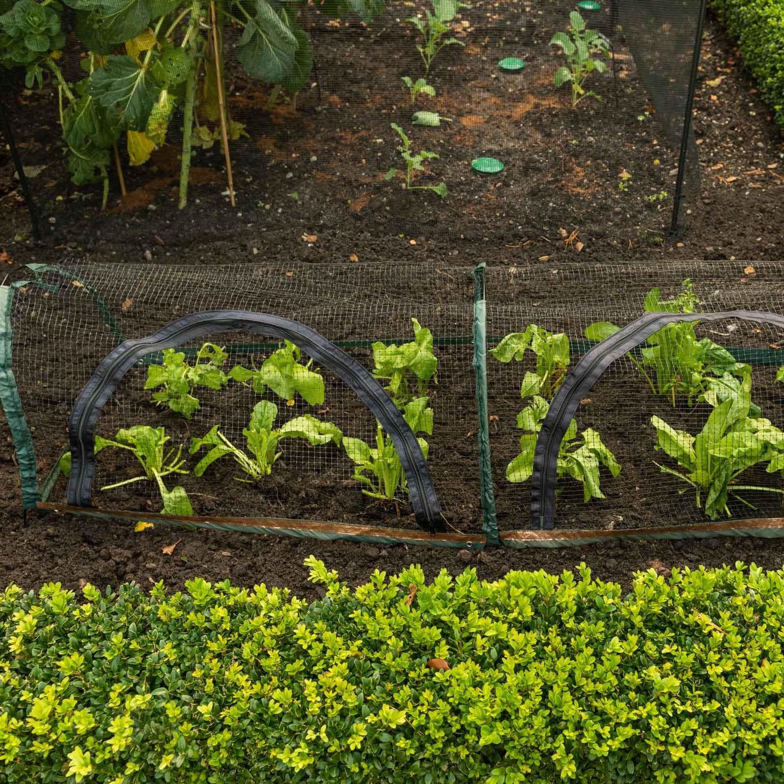 Popadome Crop Tunnel - Harrod Horticultural