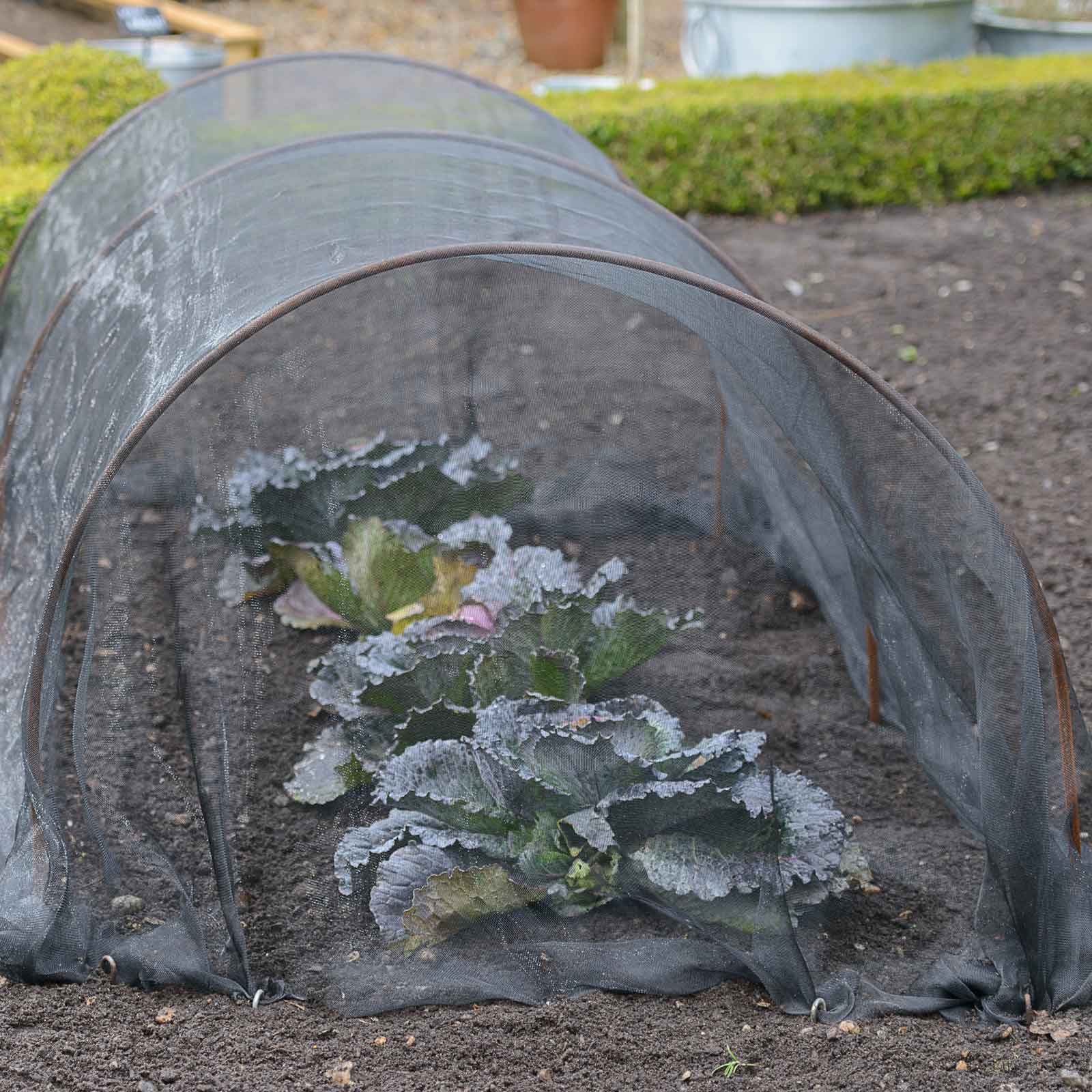 Harrod Vintage Wire Hoops - Harrod Horticultural