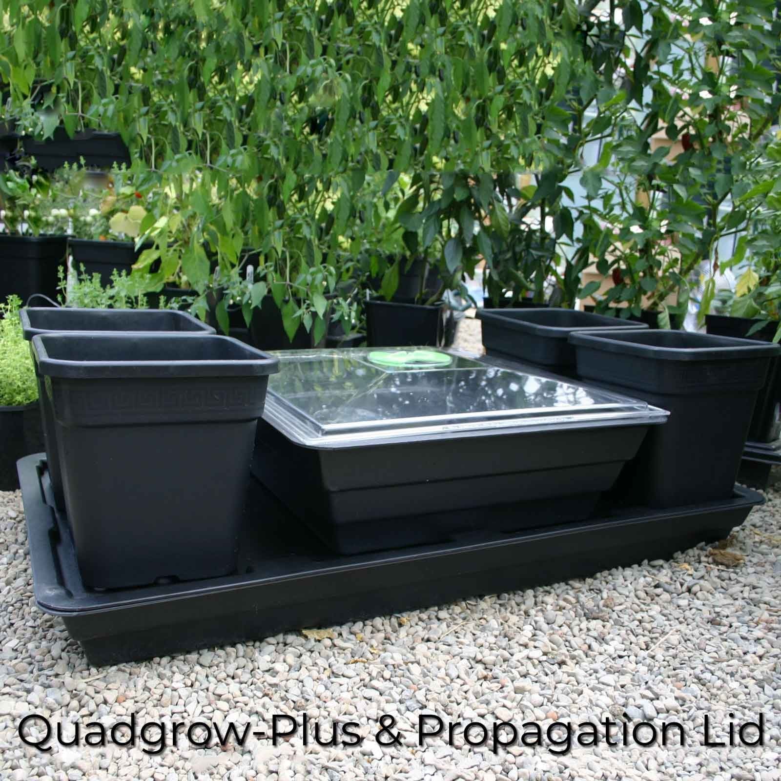 Quadgrow-Plus Planter - Harrod Horticultural
