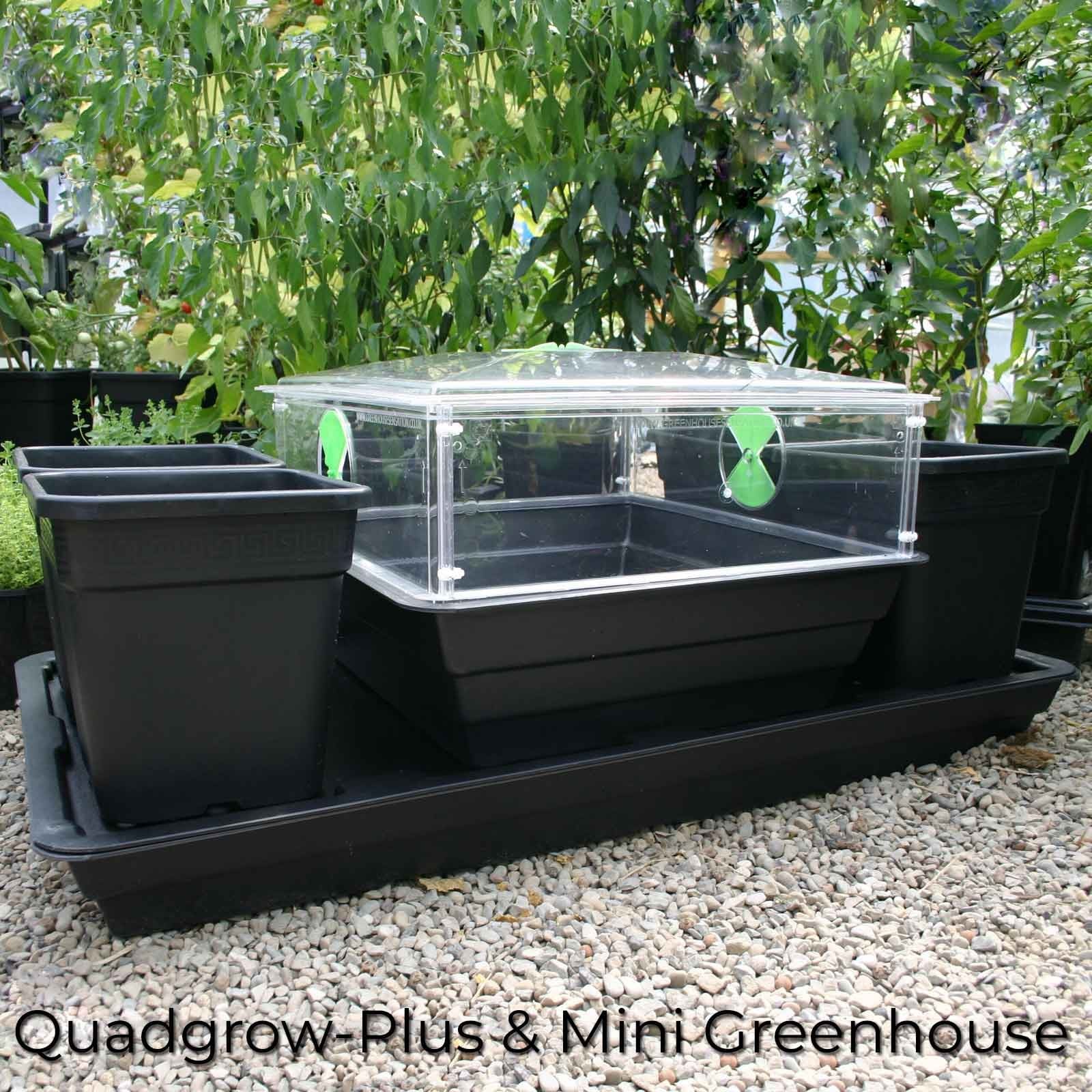 Quadgrow-Plus Planter - Harrod Horticultural