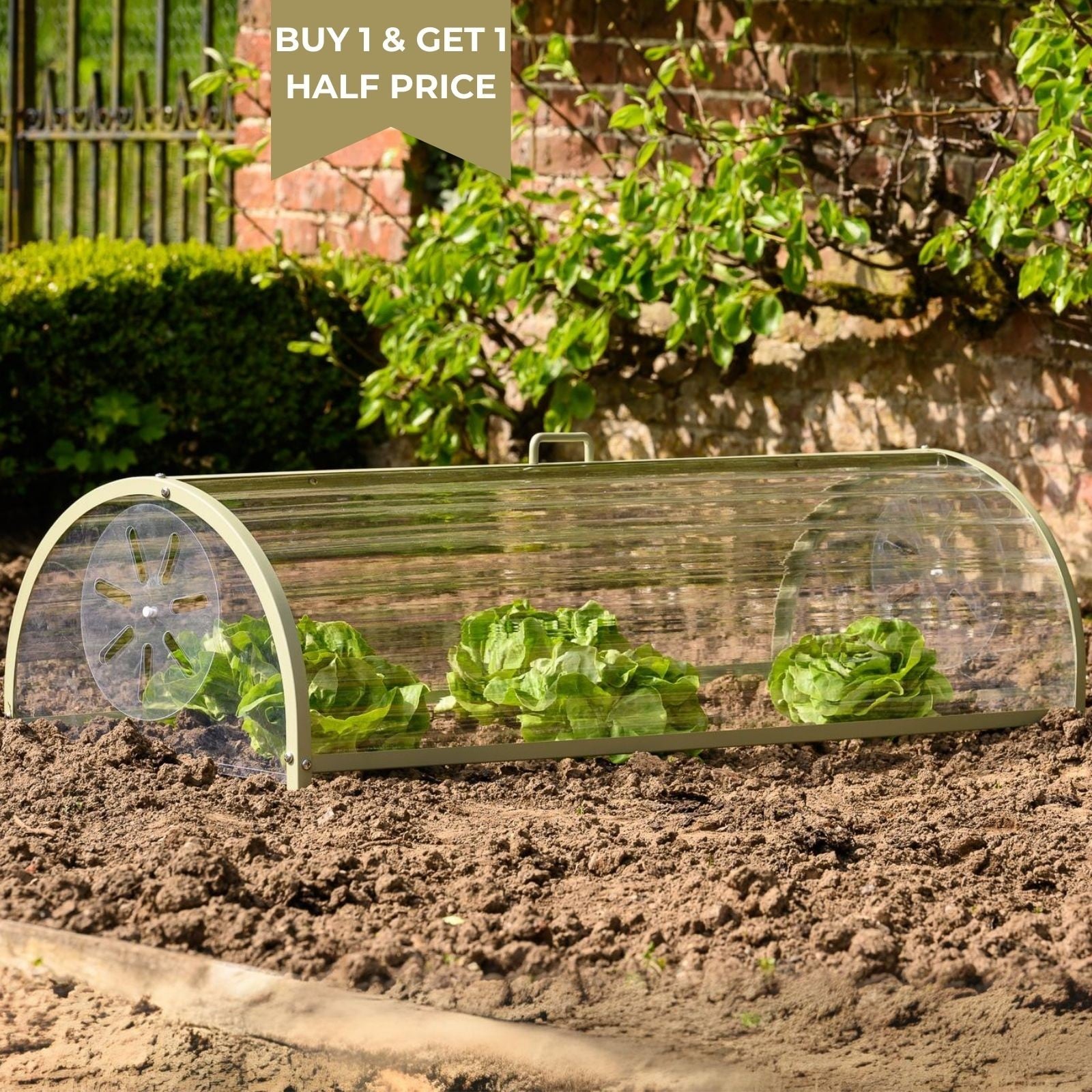 Harrod Longrow Cloche - Harrod Horticultural