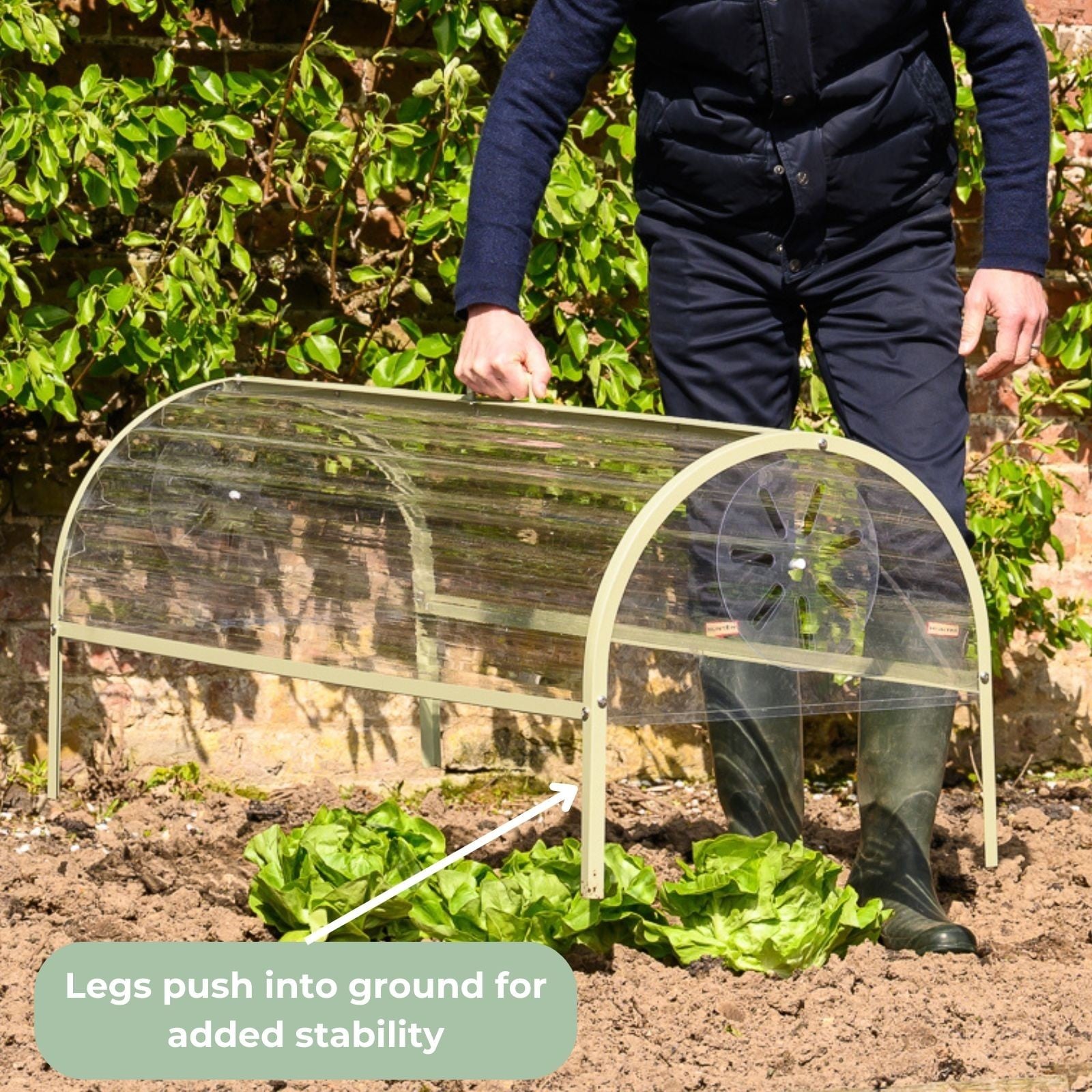 Harrod Longrow Cloche - Harrod Horticultural