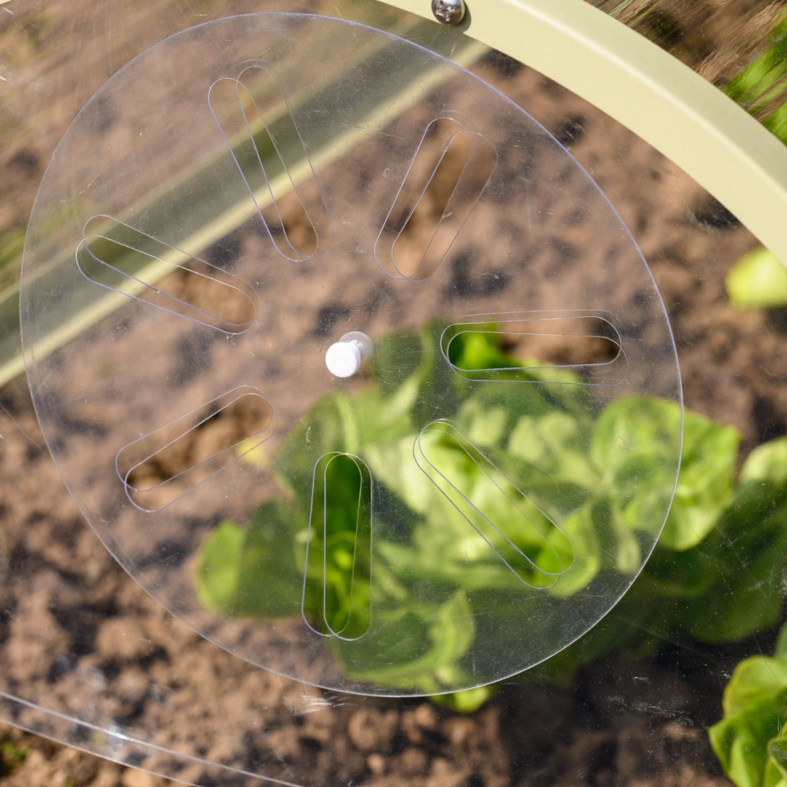 Harrod Longrow Cloche - Harrod Horticultural