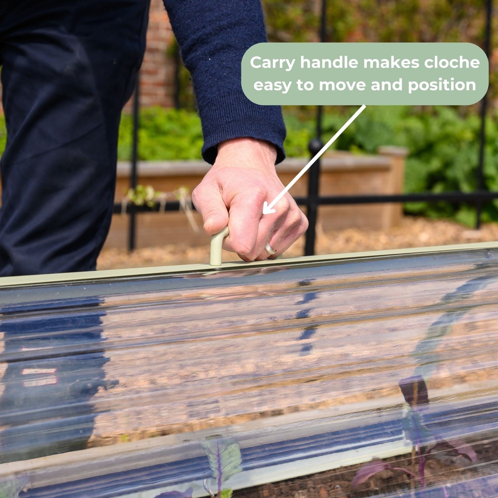 Harrod Longrow Cloche - Harrod Horticultural