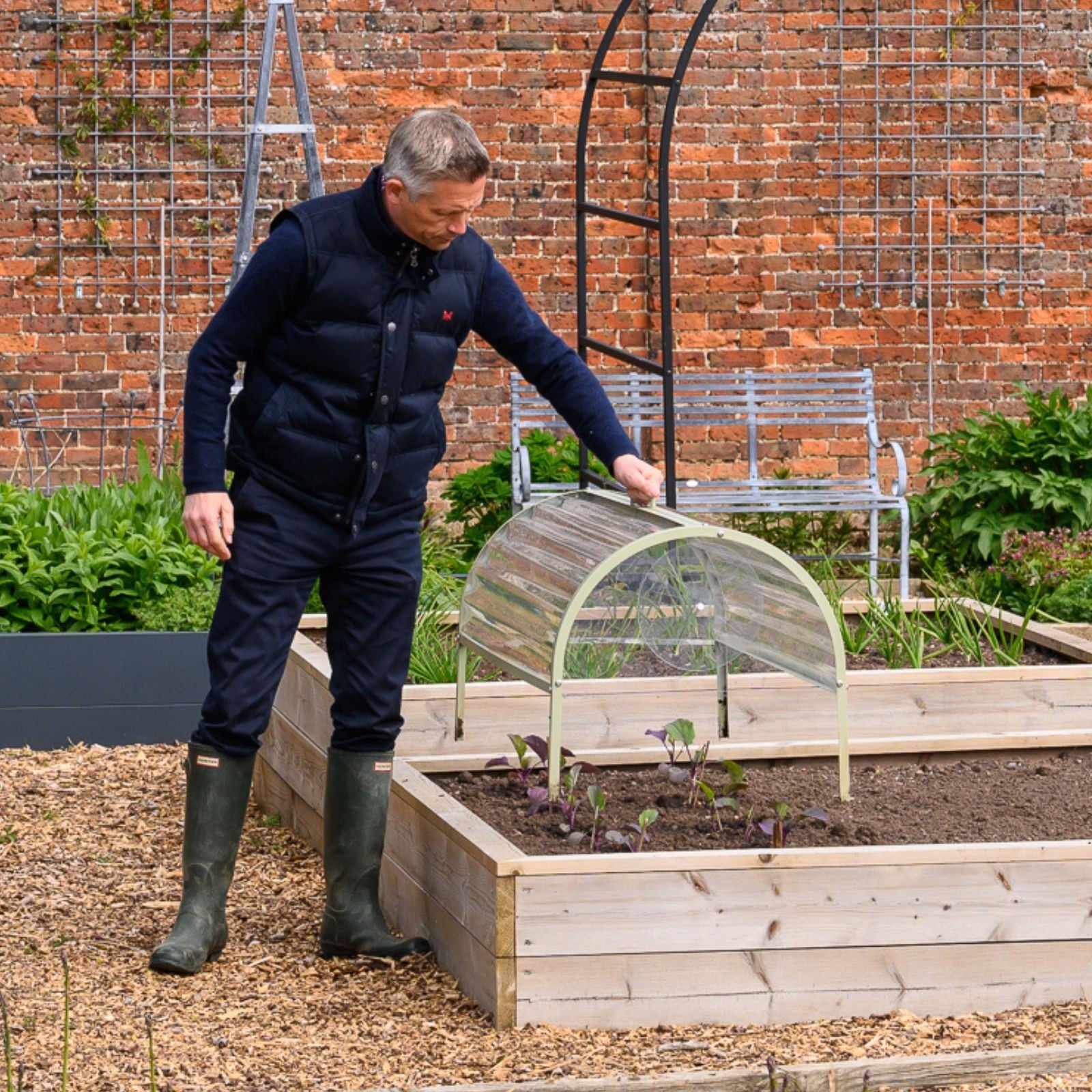 Harrod Longrow Cloche - Harrod Horticultural