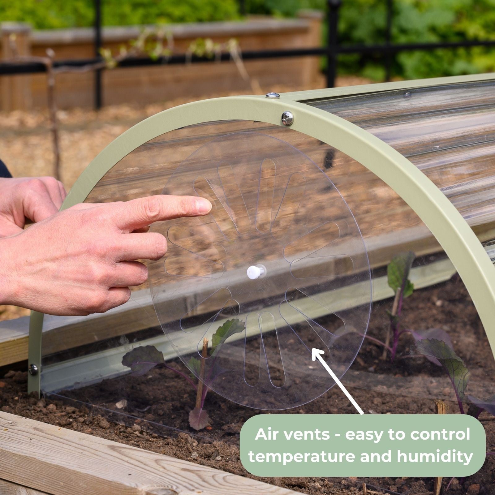 Harrod Longrow Cloche - Harrod Horticultural