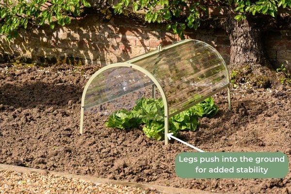 Harrod Longrow Cloche - Harrod Horticultural